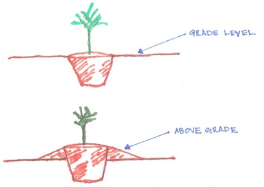 Planting at Grade Level vs. Above Grade, Plant Life Online