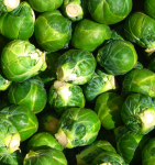 Brussels Sprouts , Plant Life Online